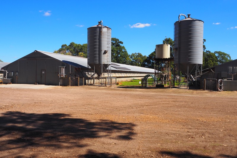 396 Rural & Farming Properties For Sale in WA